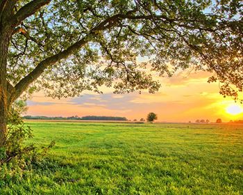 Lots for Sale, Small Parcels, Vacant Lot for Sale - lotflip