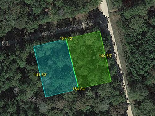 What County Is Shepherd Texas In