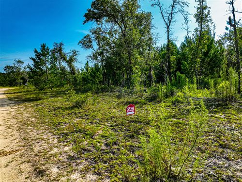 Find Lots for Sale by Owner (FSBO) & Lots Near Me : LOTFLIP