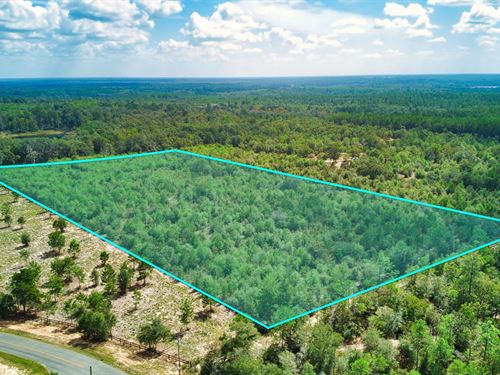 Florida RV Lots for Sale by Owner (FSBO) : Page 2 of 19 : LOTFLIP